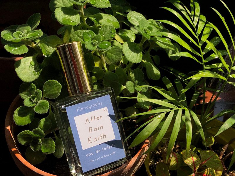 No. 34 After Rain Earth Perfume 雨後空氣香水 – Floriography Fragrances